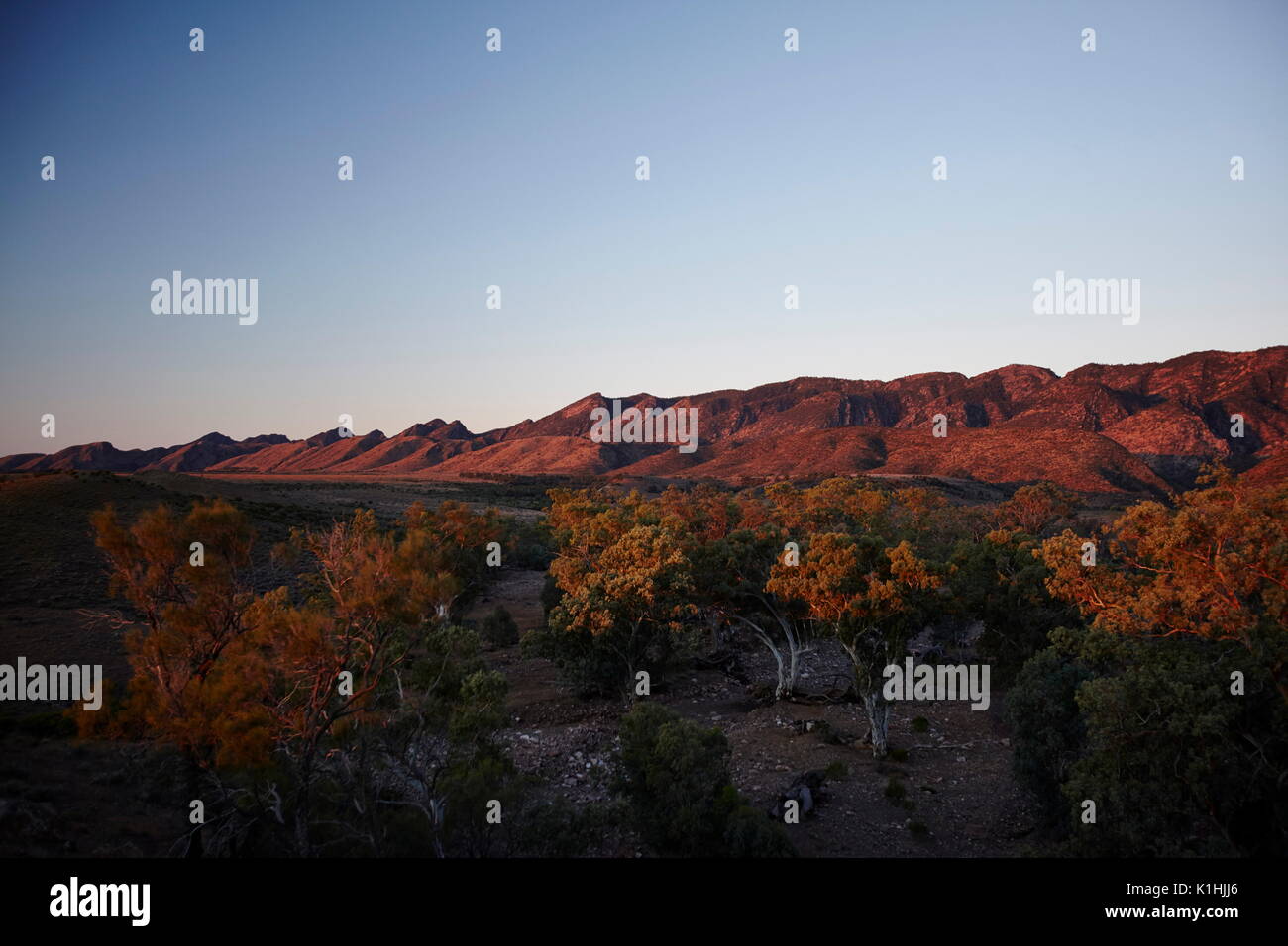 Flinders Ranges, South Australia Stock Photo - Alamy