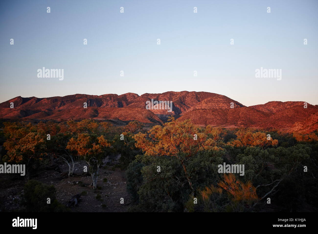 Flinders Ranges, South Australia Stock Photo - Alamy