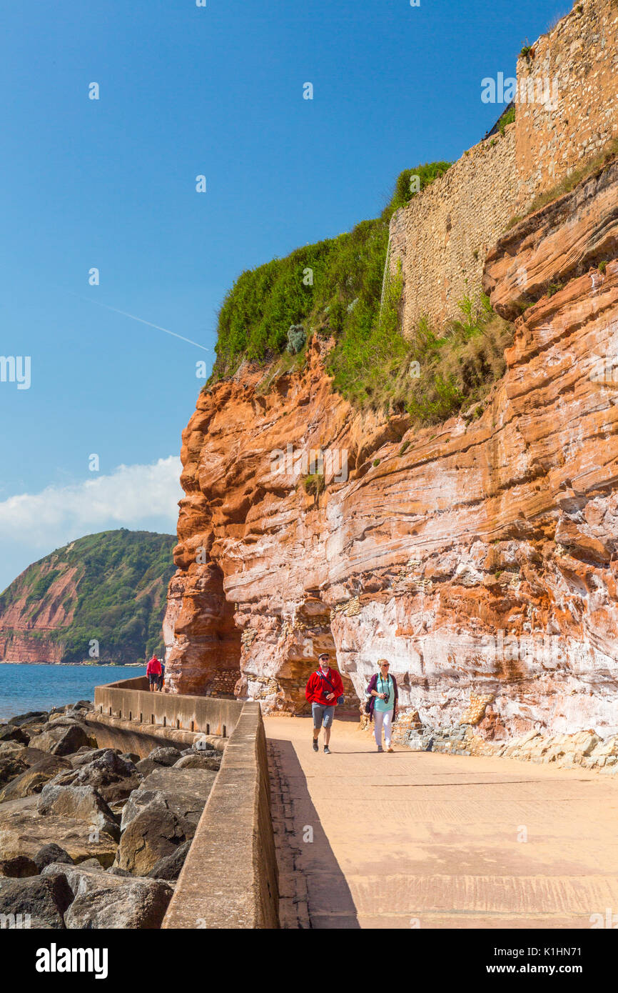 Devon walk hi-res stock photography and images - Alamy