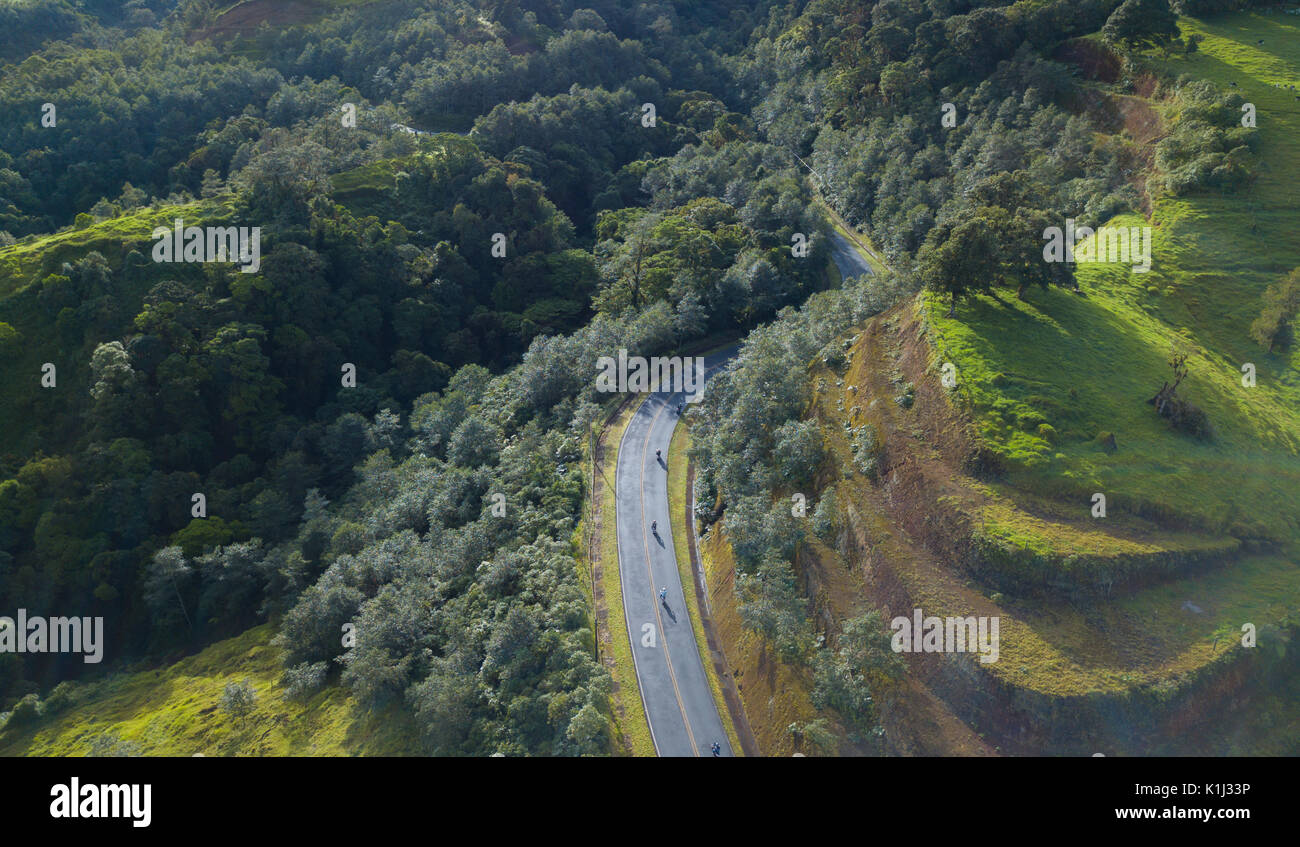 Rural road leading through green areas and dense forests Stock Photo ...