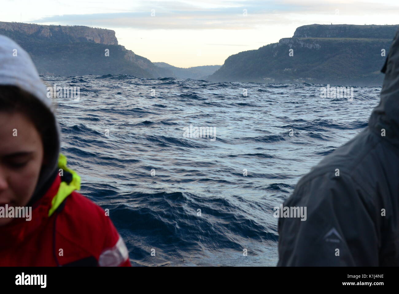 Kwazulu natal sardine run hi-res stock photography and images - Alamy