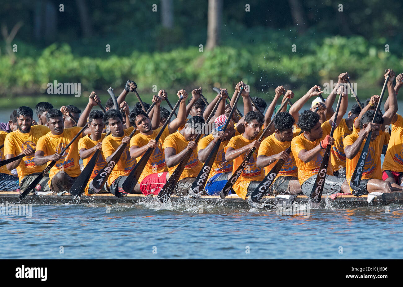 The image of men rowing Snake boat in Nehru boat race day, Allaepy ...