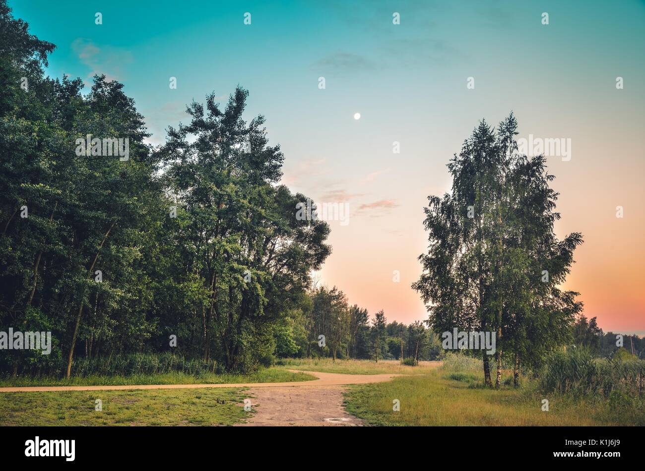 Summer morning landscape. Green trees with colored sky and moon in the ...