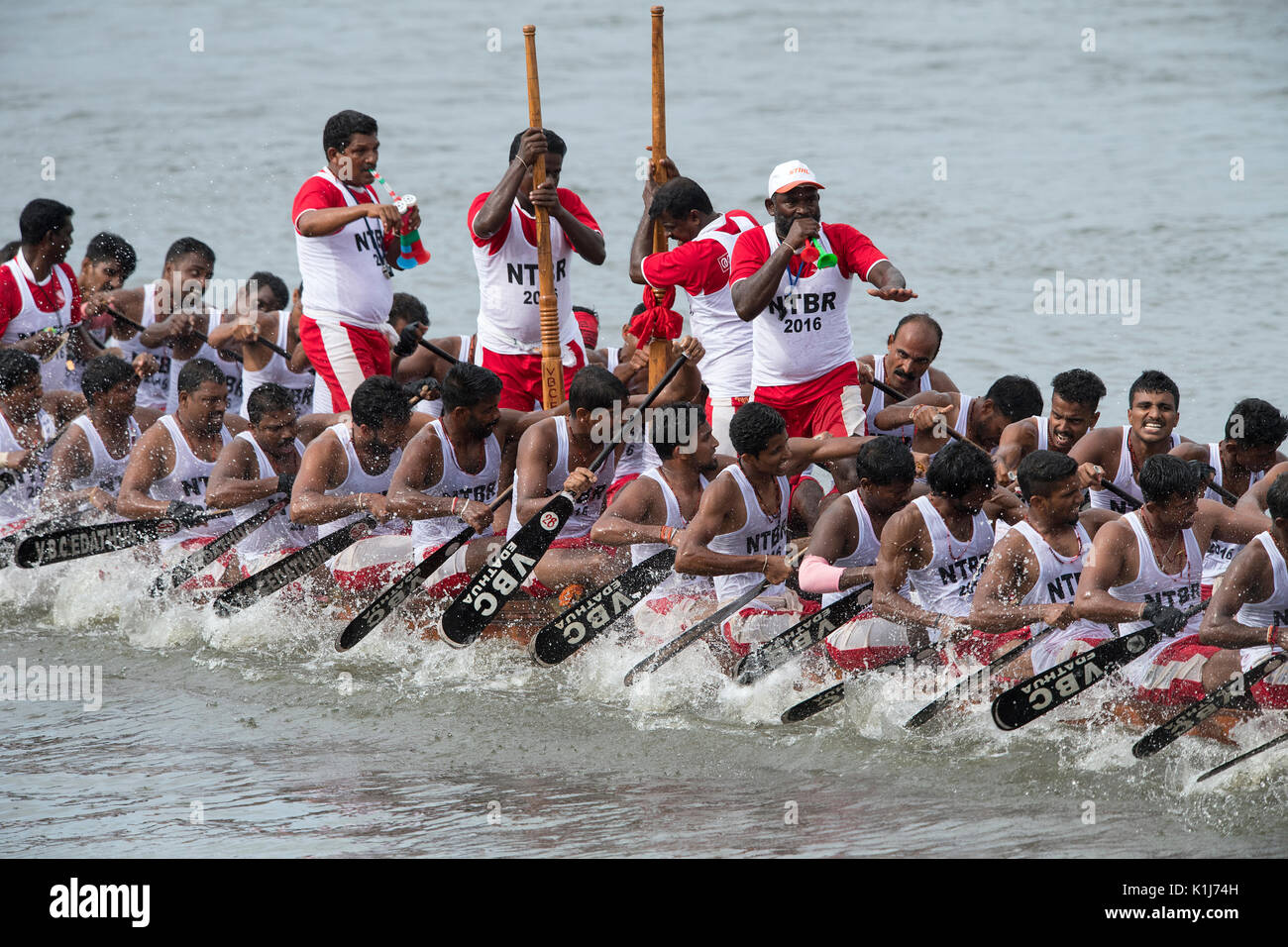 The image of men rowing Snake boat in Nehru boat race day, Allaepy ...