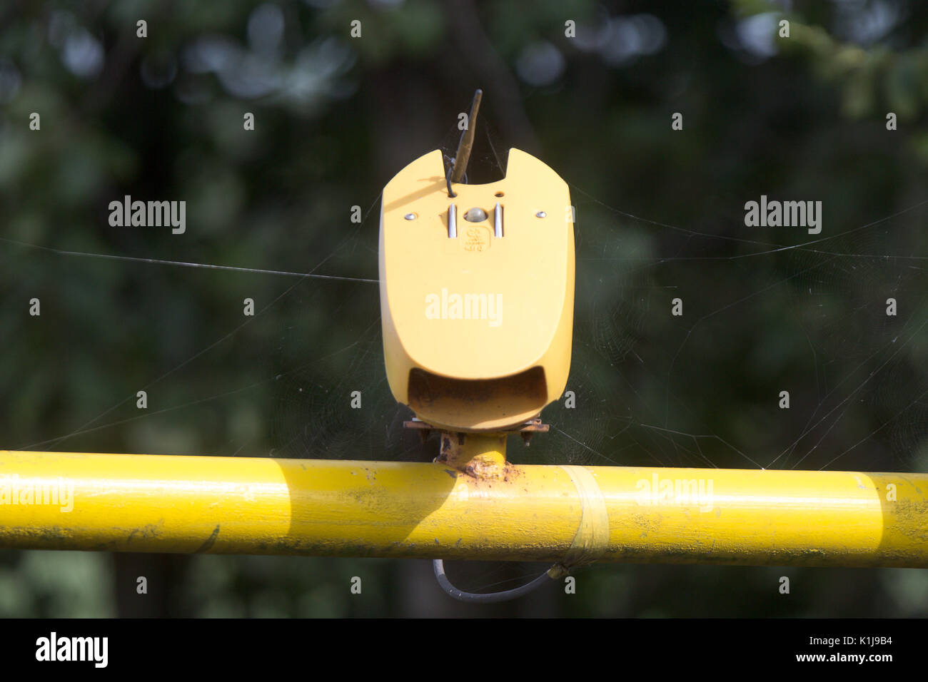 Average speed cameras on the M6 motorway in Cheshire,UK Stock Photo - Alamy