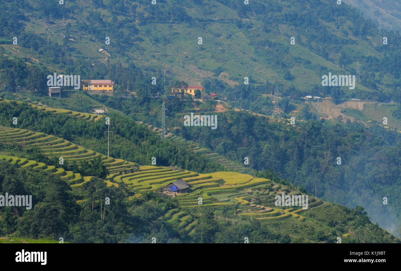 Terraced rice field at sunny day in Sapa, Vietnam. Sapa, 350km far from ...
