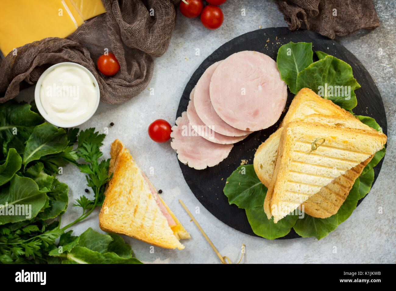 Pressed and toasted classic double sandwich with ham and cheese on a ...