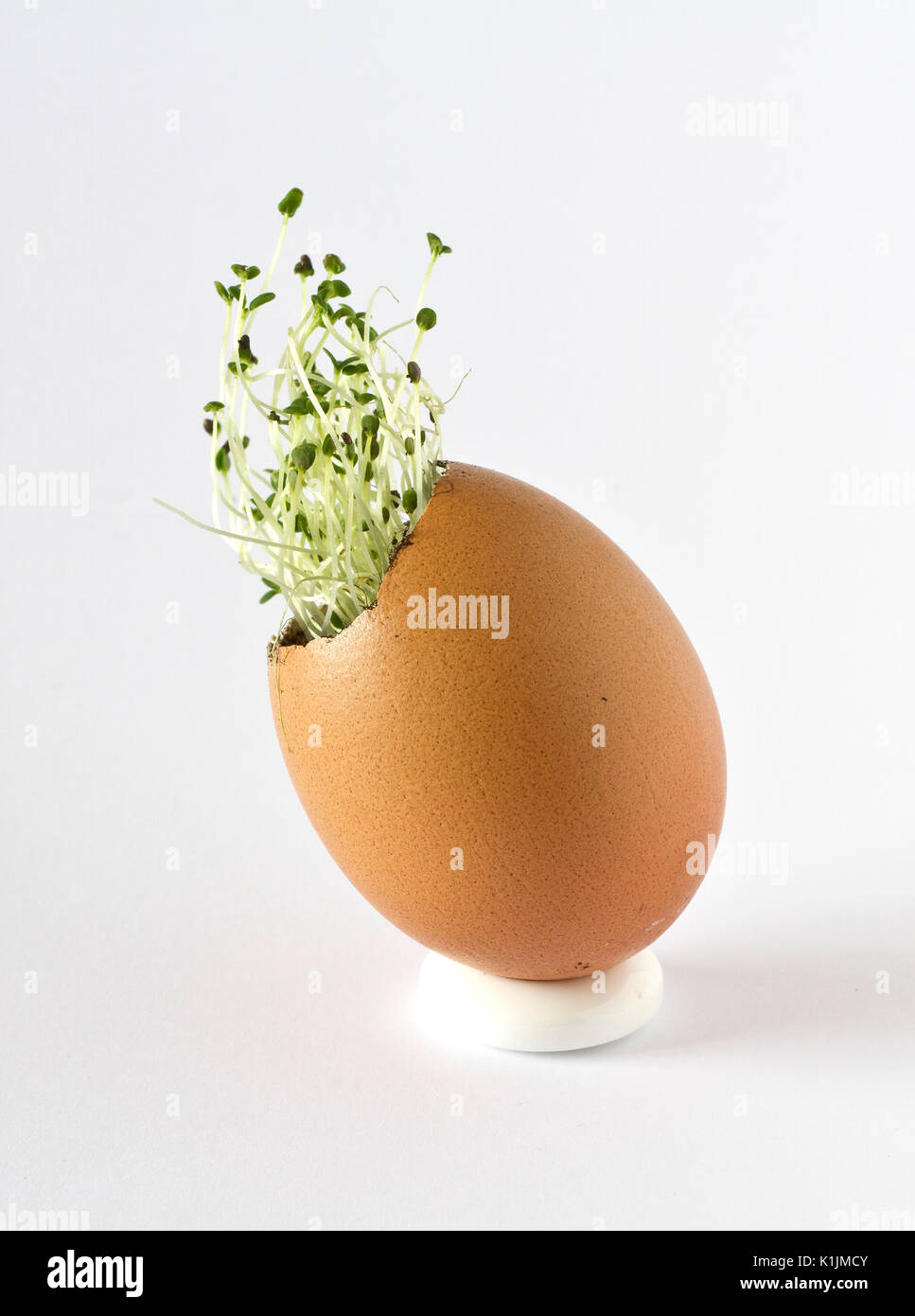 Empty egg shell hi-res stock photography and images - Alamy