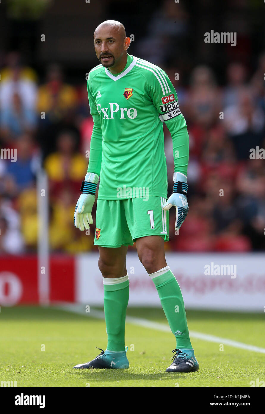Watford goalkeeper Heurelho Gomes during the Premier League match at ...