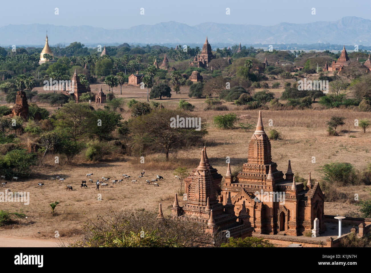 View bagan temples stupas hi-res stock photography and images - Alamy