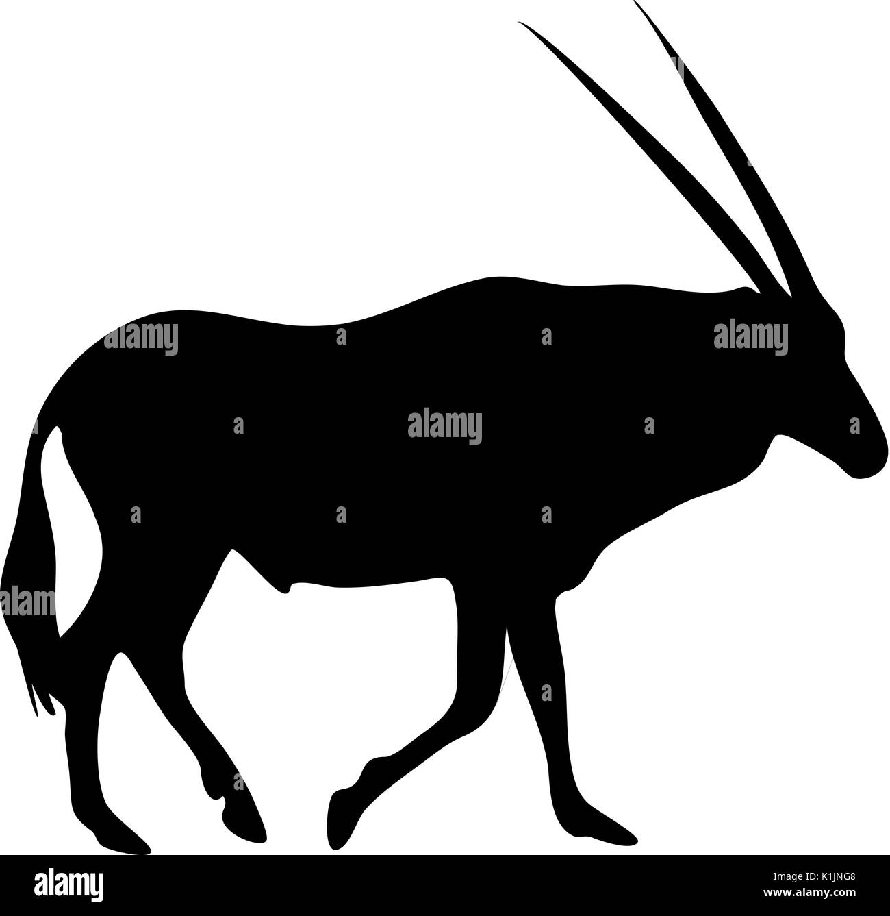 Gemsbok horn Stock Vector Images - Alamy