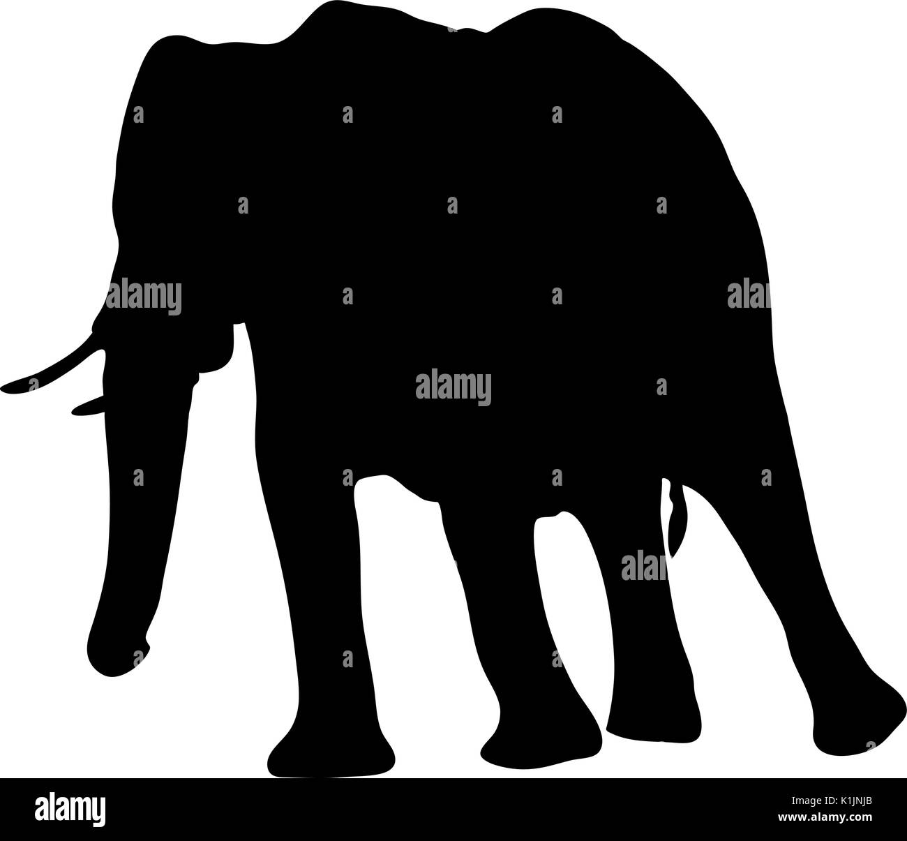 Elephants trunks africa Stock Vector Images - Alamy