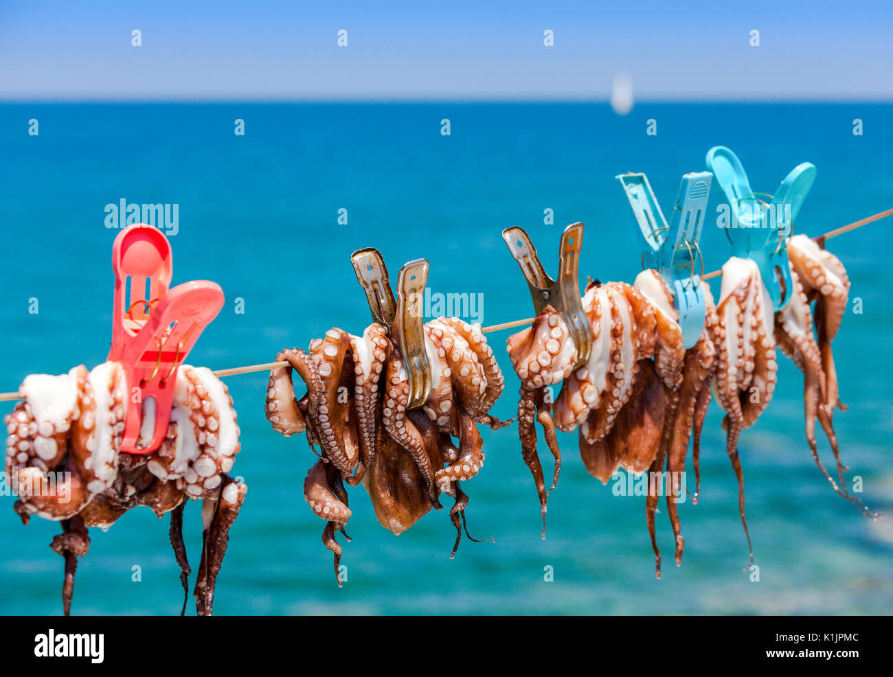Drying the octopus in the sun in the seaside village of Plaka on the ...