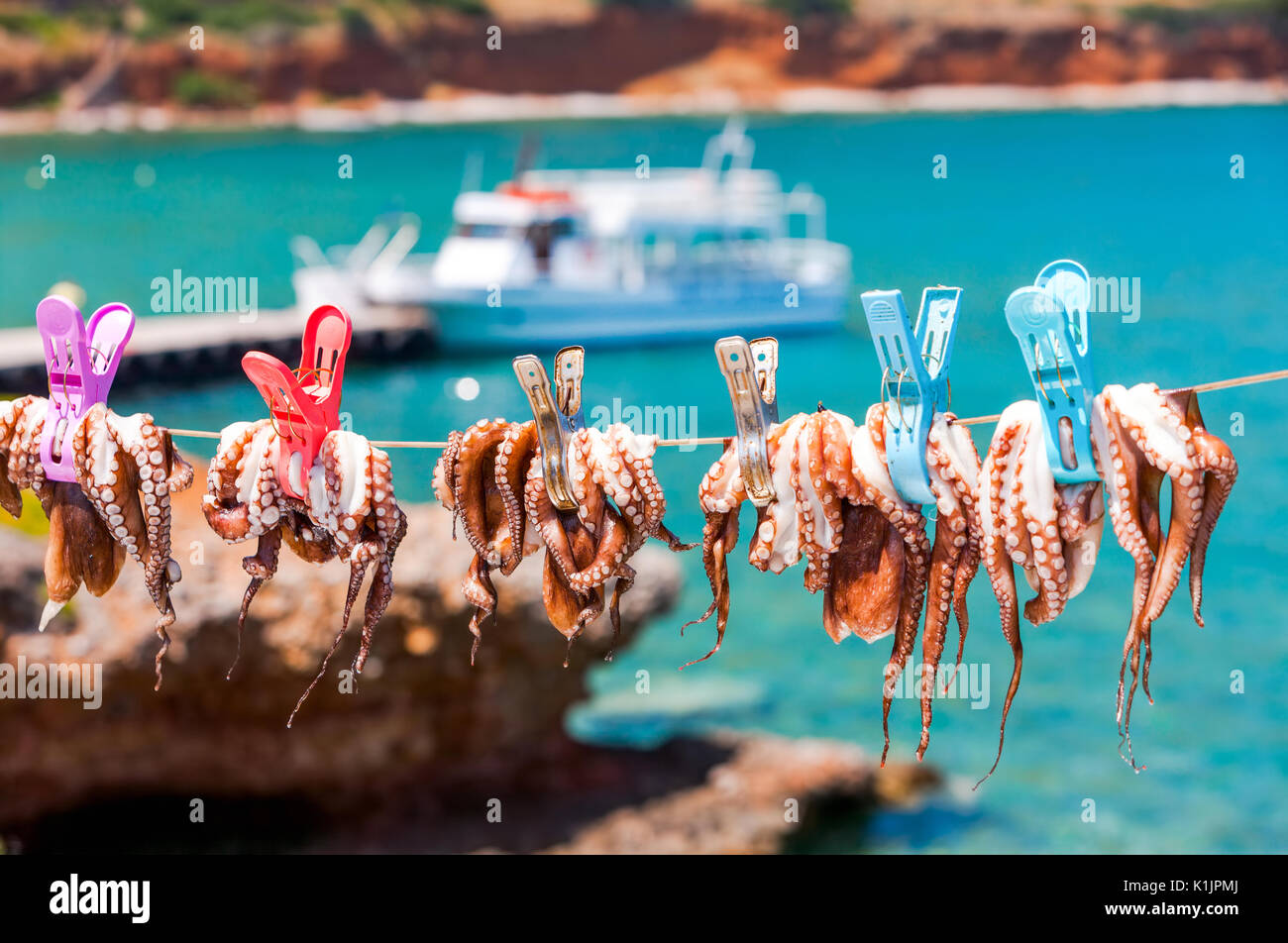 Drying the octopus in the sun in the seaside village of Plaka on the ...