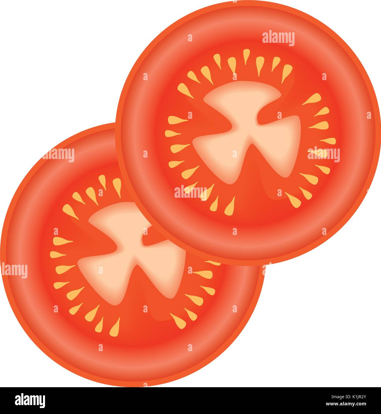 tomato slices icon over white background vector illustration Stock ...