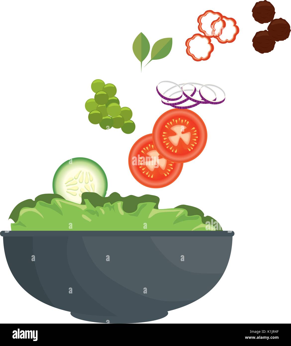 healthy salad icon over white background vector illustration Stock ...