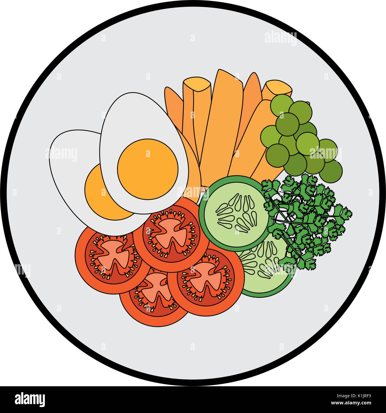 gourmet salad dish icon over white background vector illustration Stock ...