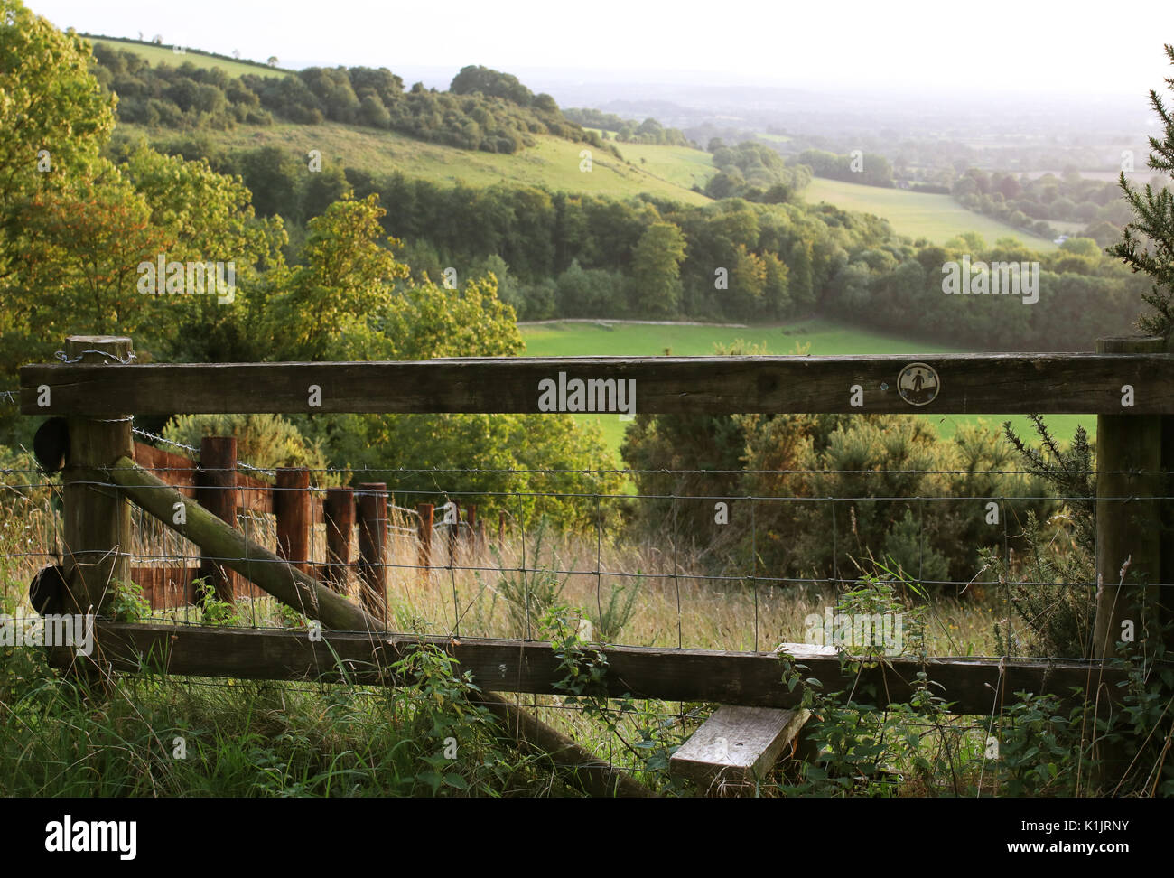 Fontmell Down early evening Stock Photo - Alamy