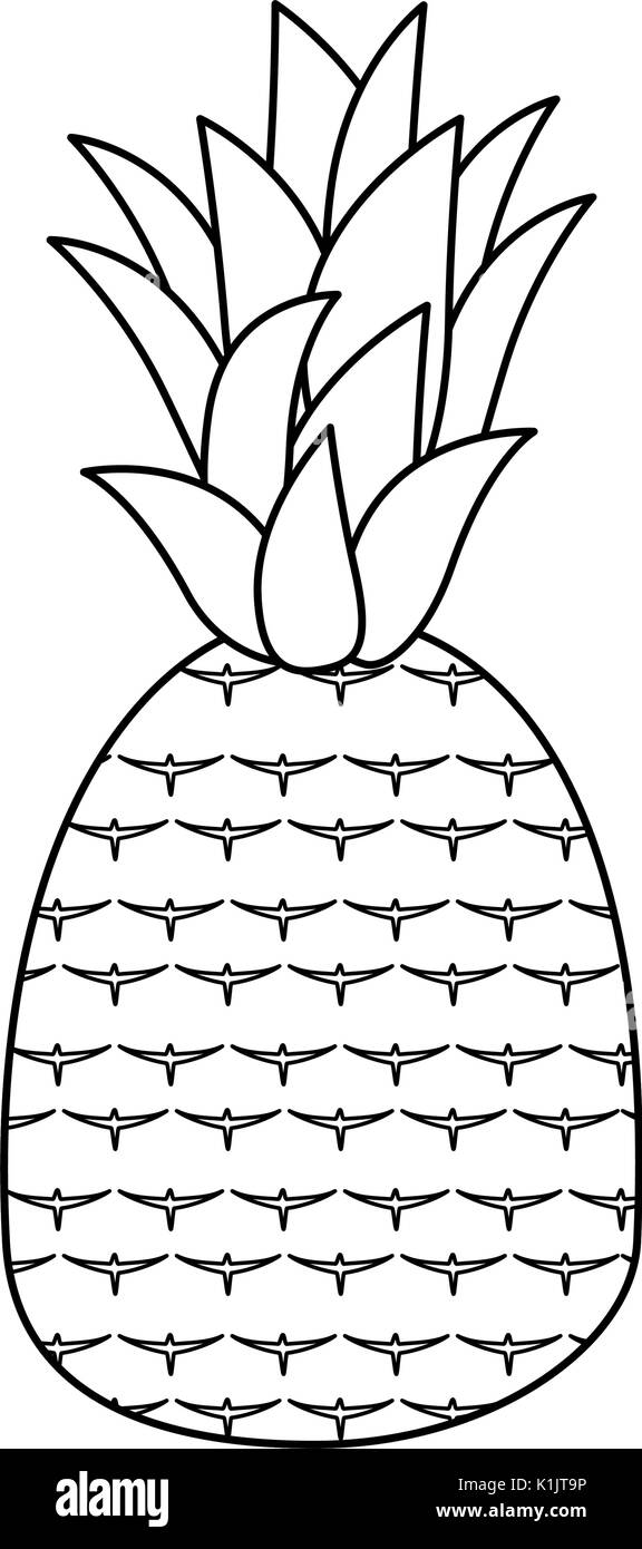 Pinya Clipart Black And White Pumpkin