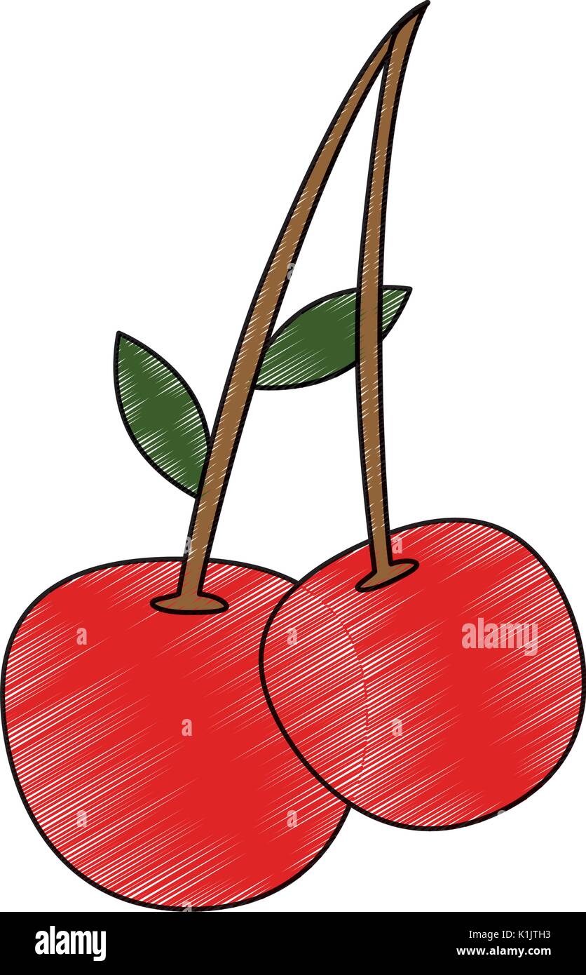 Cherries sweet fruits icon vector illustration graphic design Stock ...