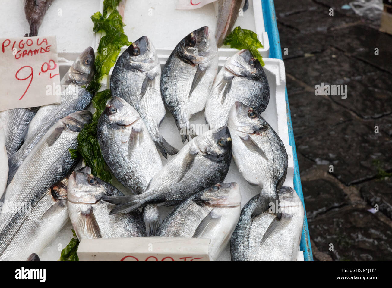 Mediterranean fish exposed in open market in Napoli Stock Photo - Alamy