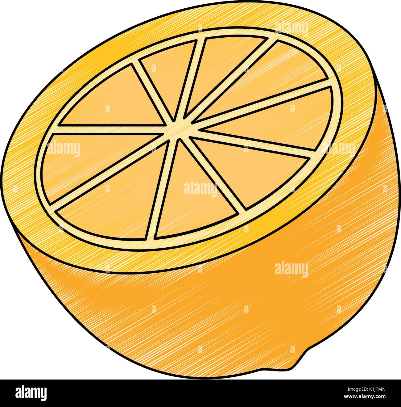 Orange citric fruit icon vector illustration graphic design Stock ...