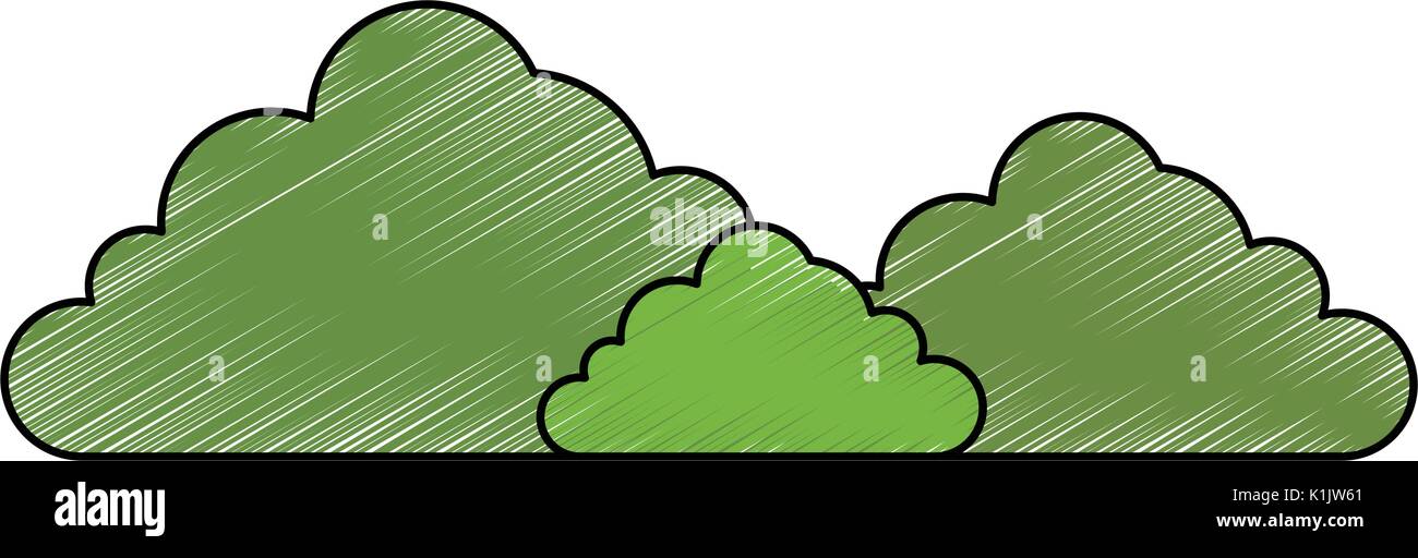 bush isolated plant icon vector illustration graphic design Stock ...