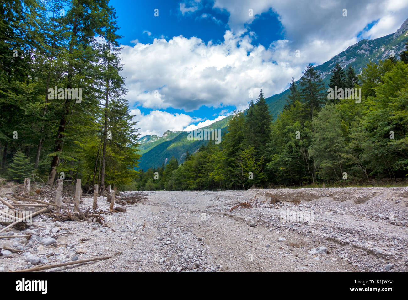 Dry mountain riverbed, woods and trees, mountains in background Stock ...