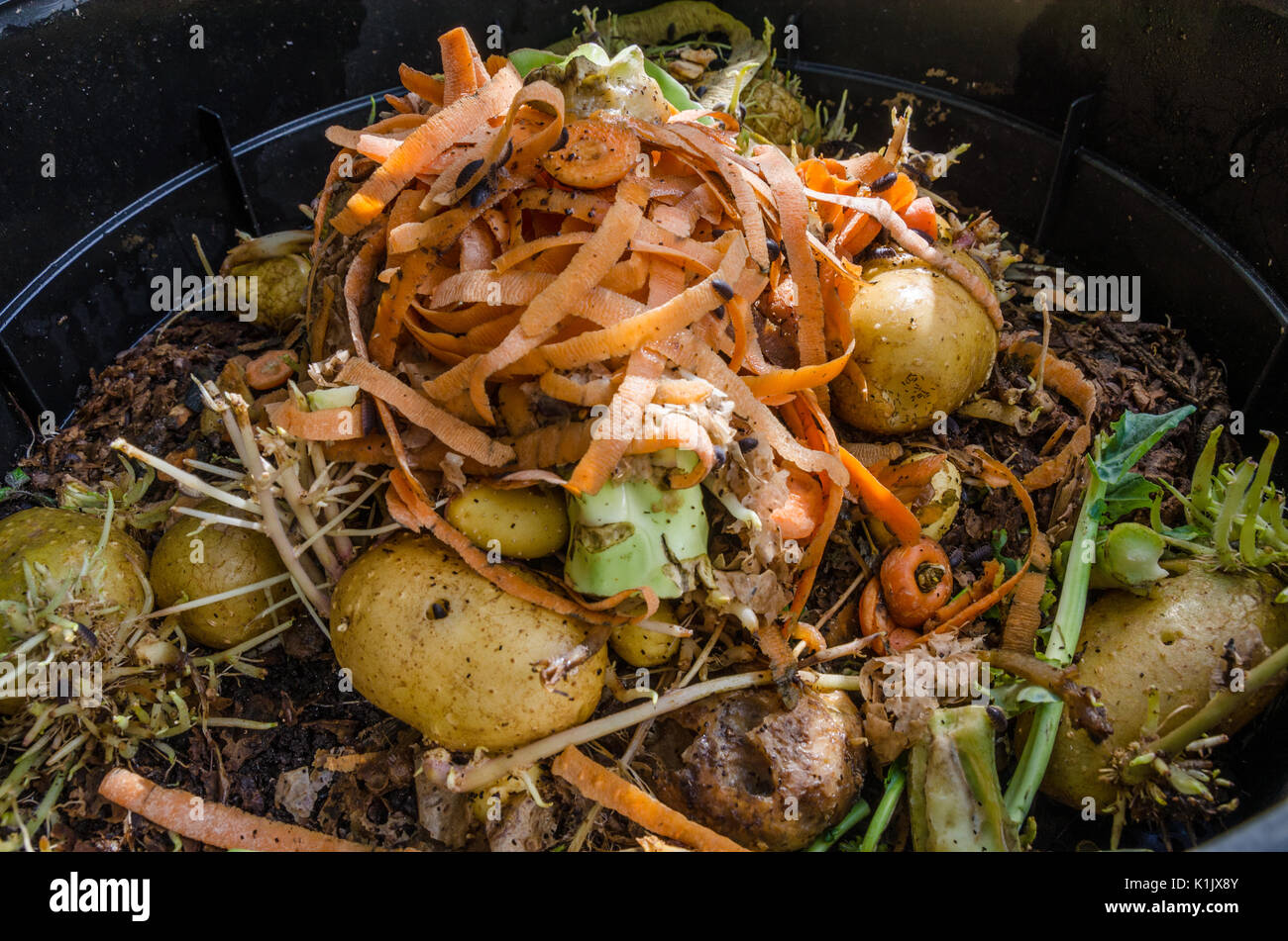 Rotting vegetables hi-res stock photography and images - Alamy