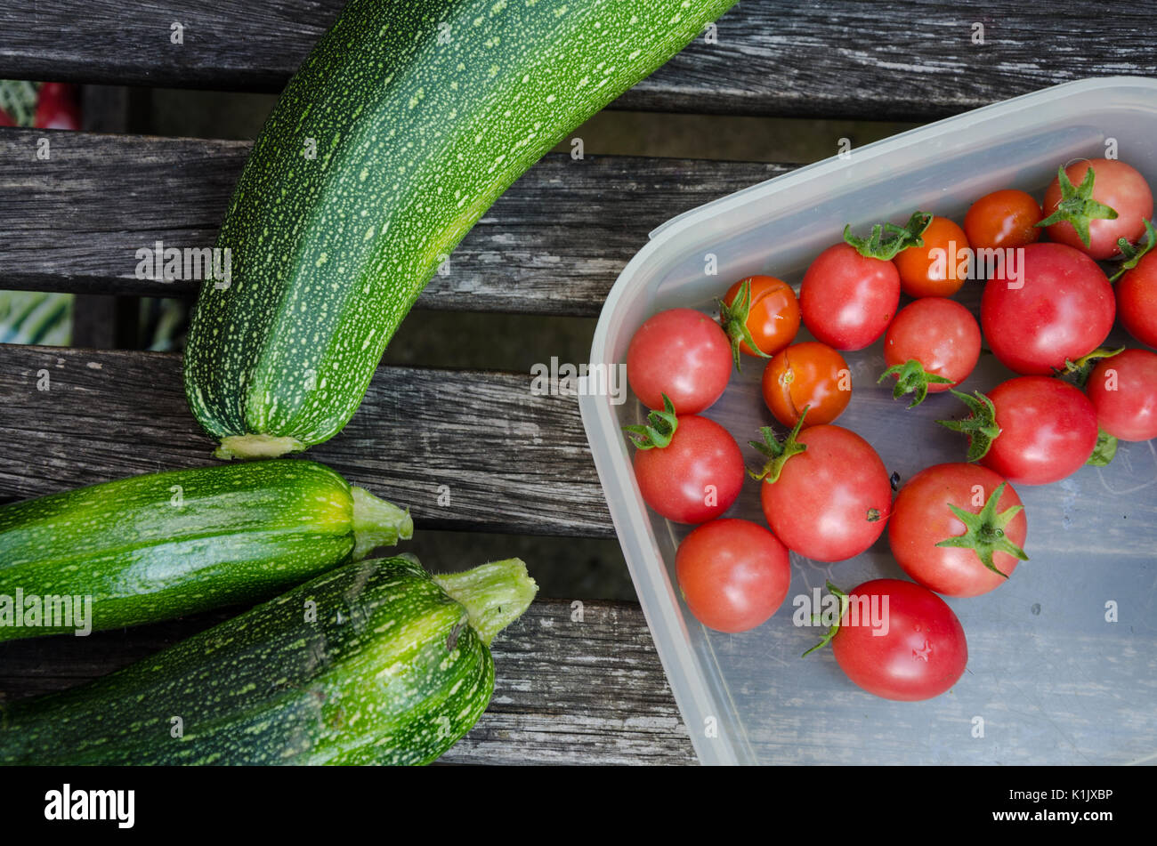 Fresh produce picked form a home garden shown here on a garden bench ...