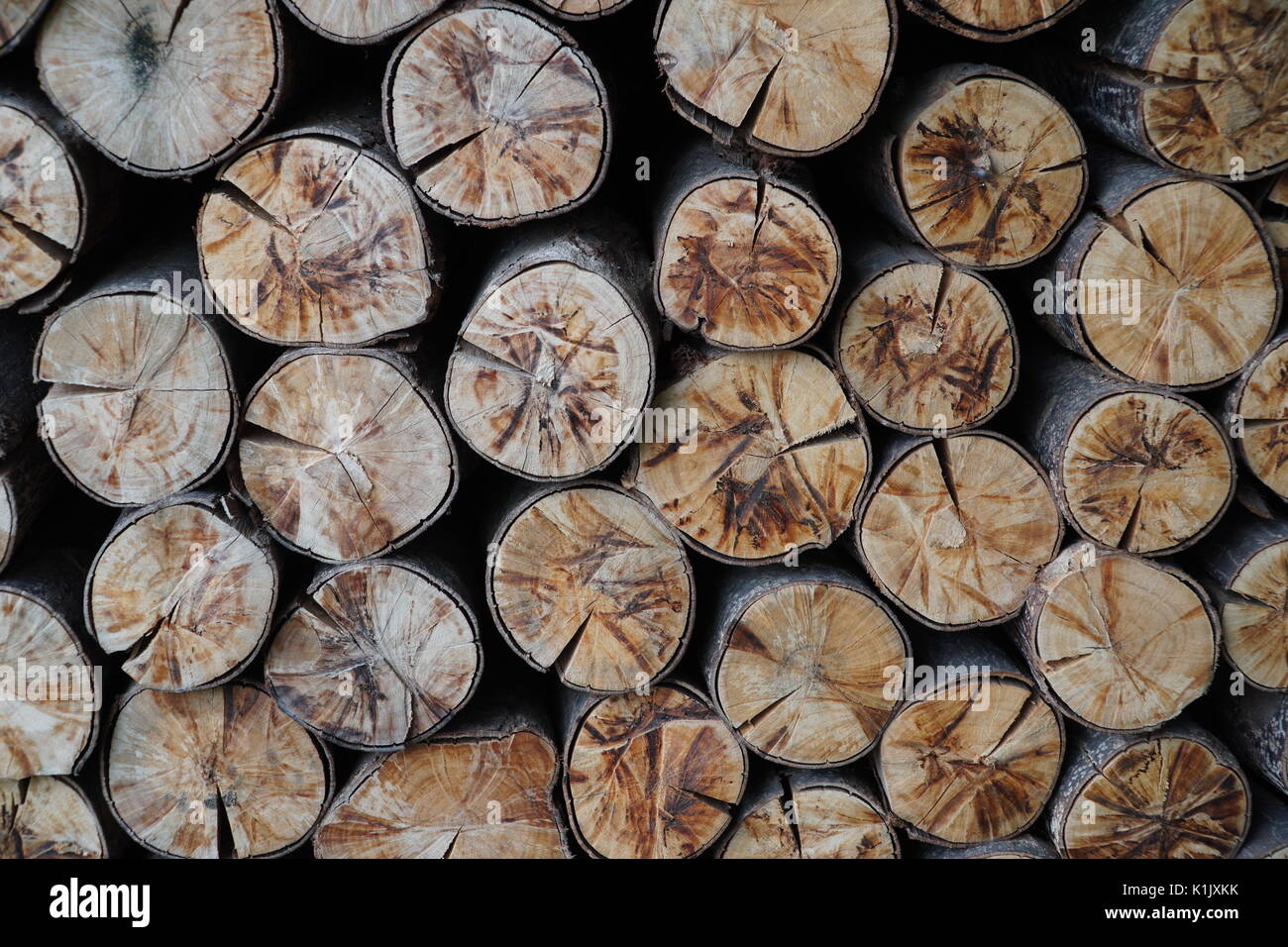 Firewood texture hi-res stock photography and images - Alamy