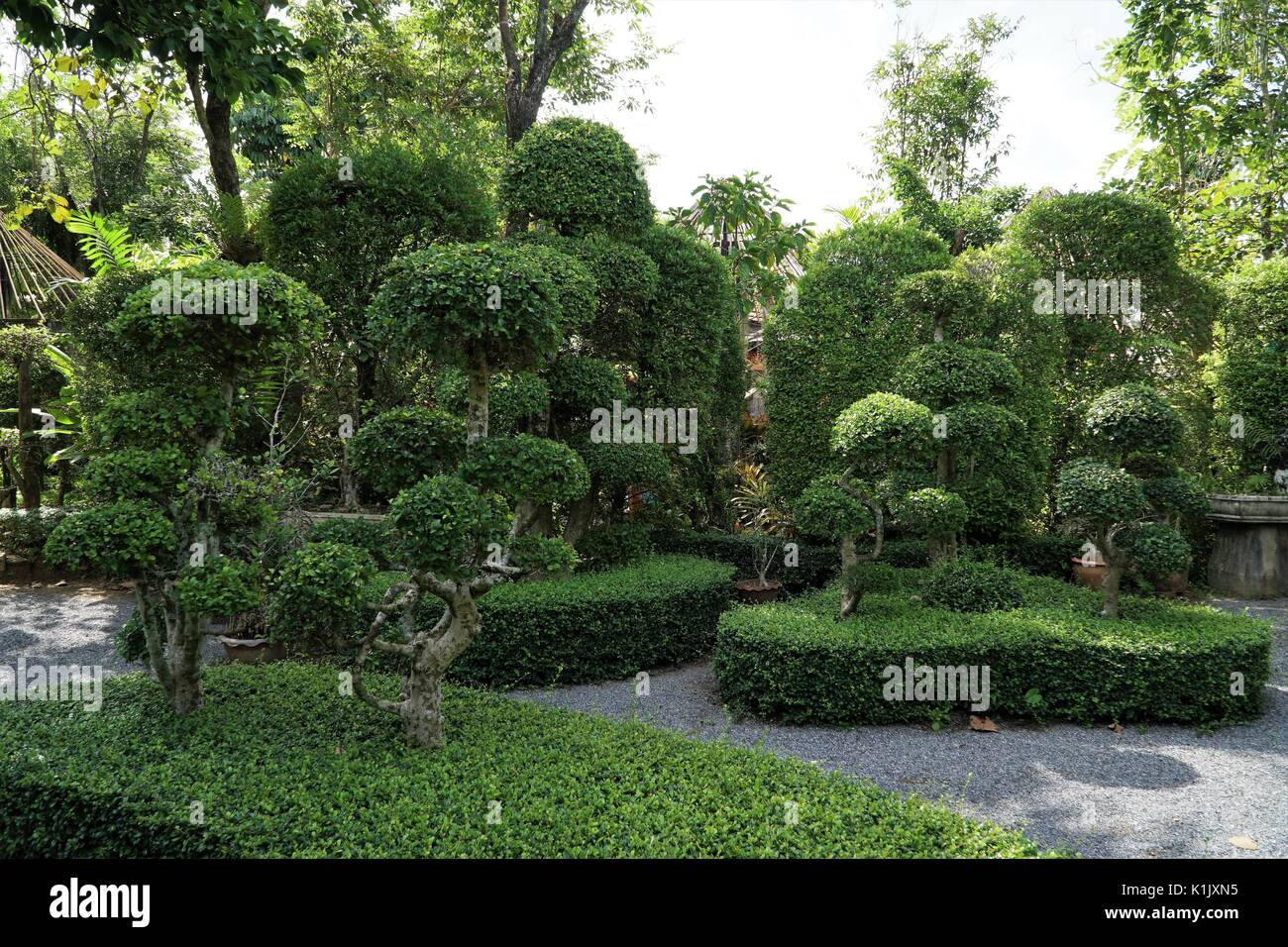 Topiary Tree Park Stock Photos & Topiary Tree Park Stock Images - Alamy