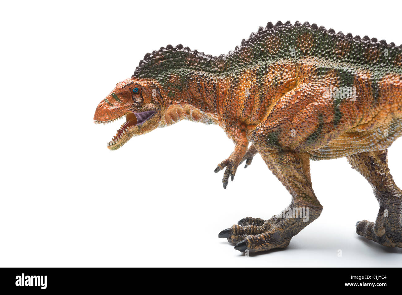 acrocanthosaurus toy on a white background Stock Photo - Alamy
