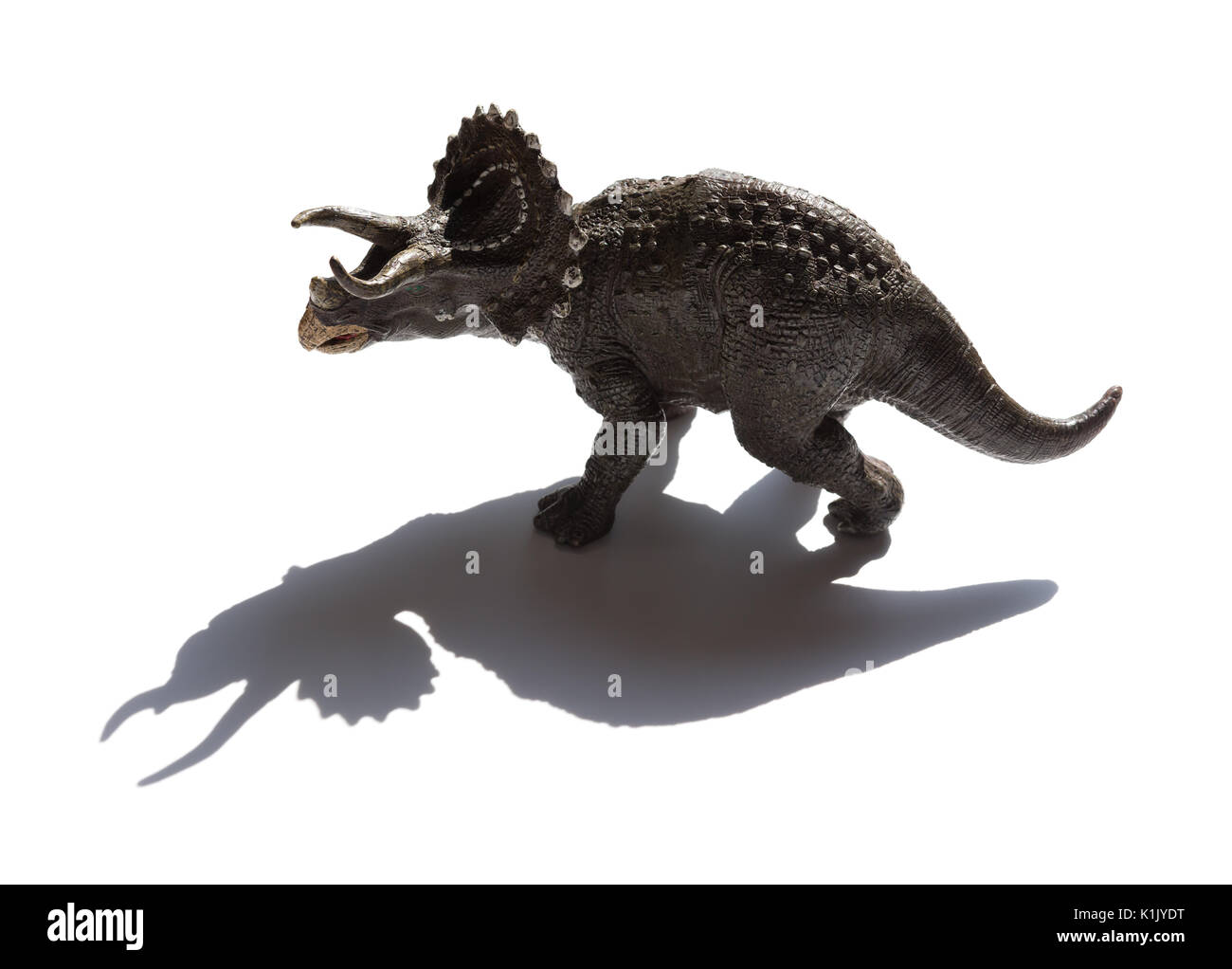 grey triceratops toy with shadow on a white background Stock Photo - Alamy