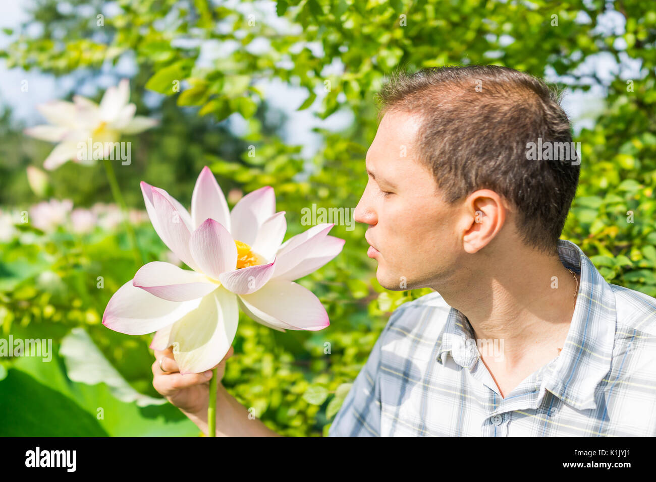 Portrait white lotus flower hi-res stock photography and images - Alamy