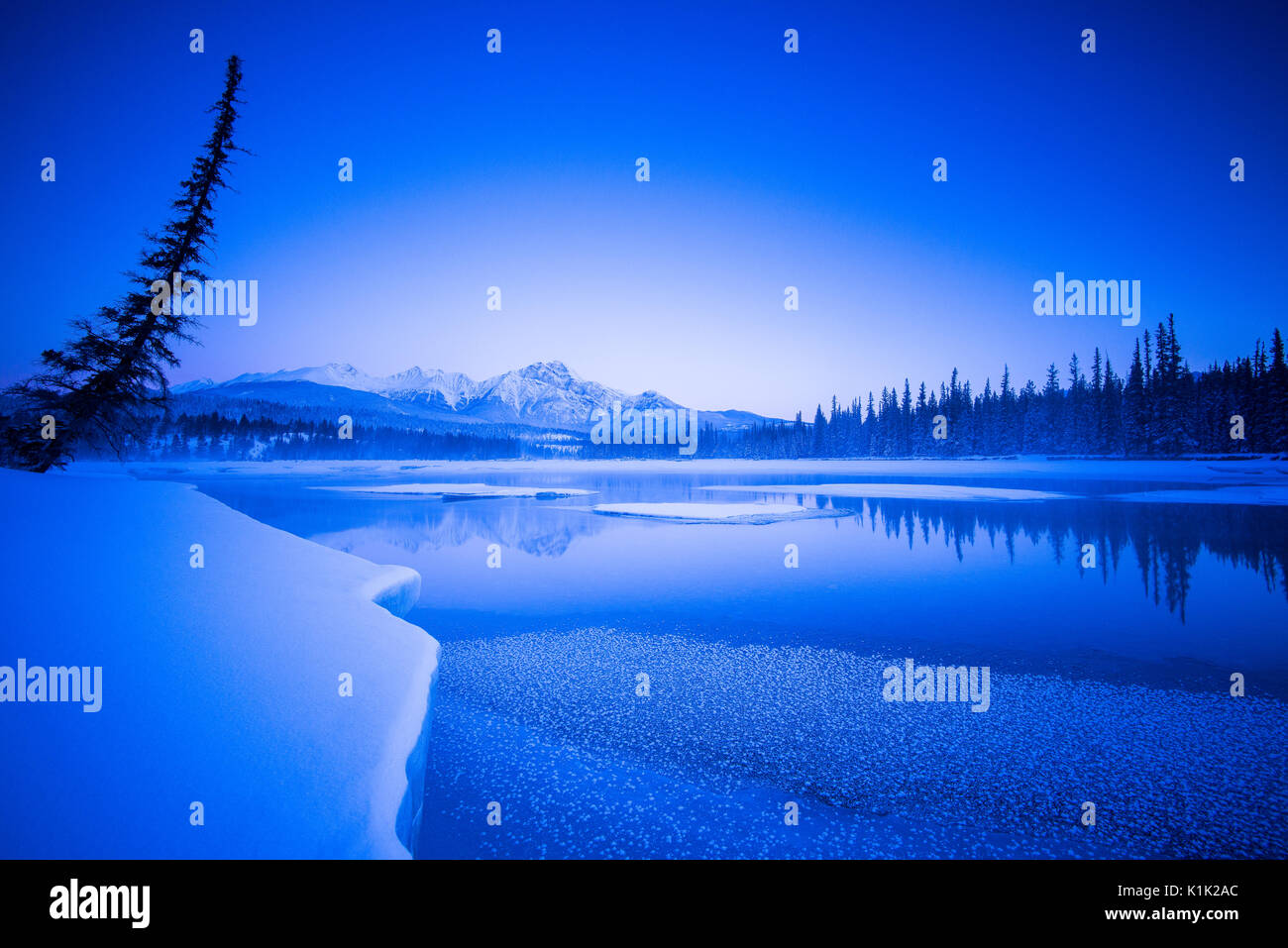 Jasper the bear winter hi-res stock photography and images - Alamy