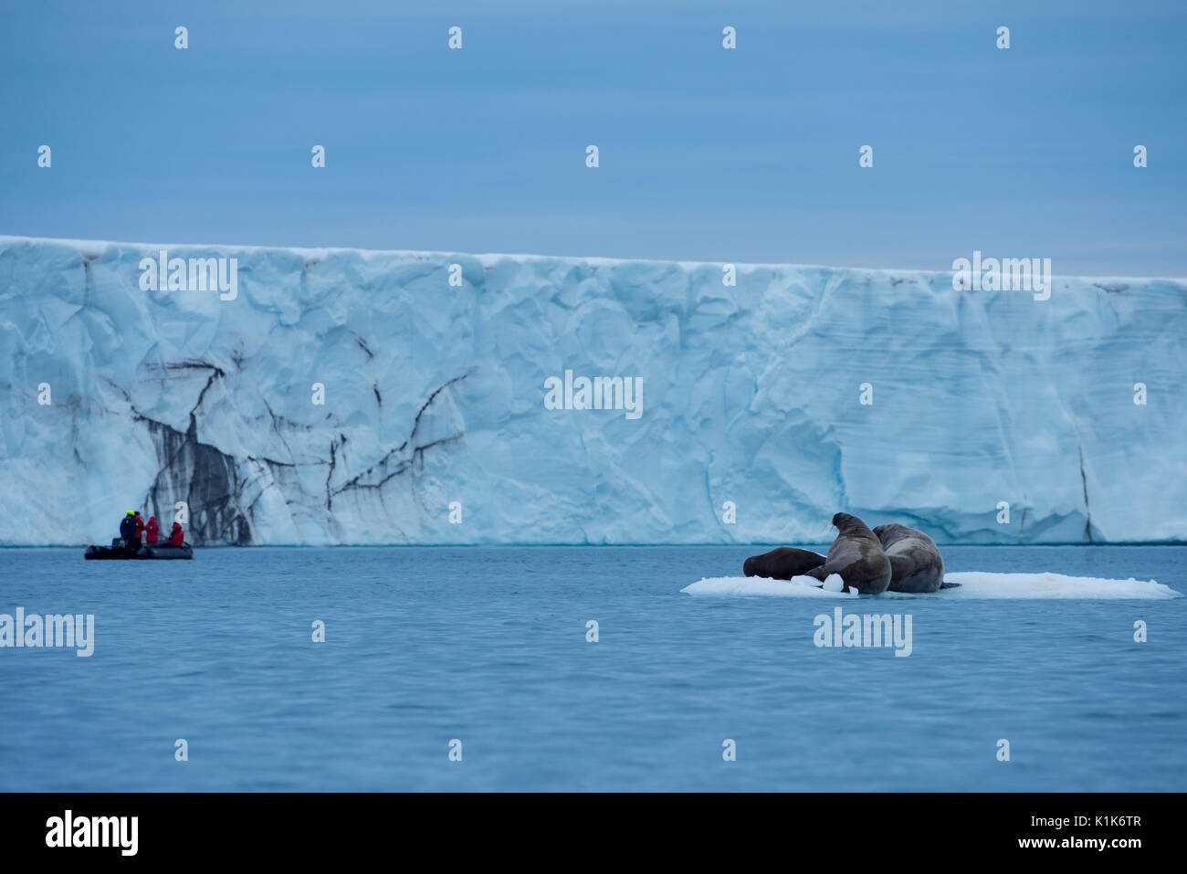 Norway, Svalbard, Nordaustlandet, Nordaust-Svalbard Nature Reserve ...