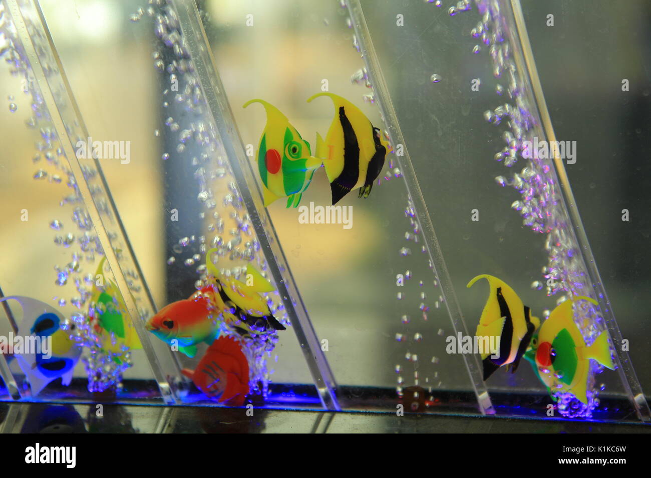 Fancy fishes in Aquarium Stock Photo - Alamy