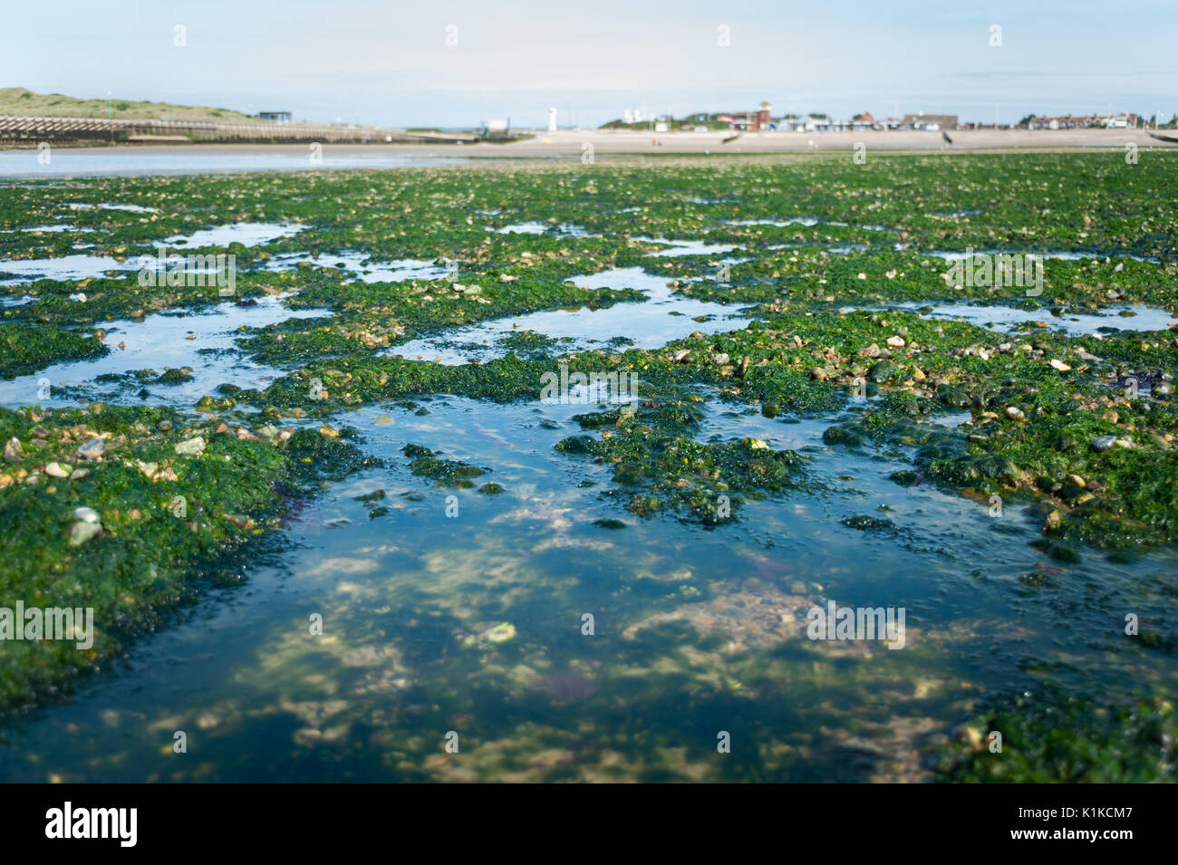 Rock pools and seaweed exposed during low tide on the beach at ...