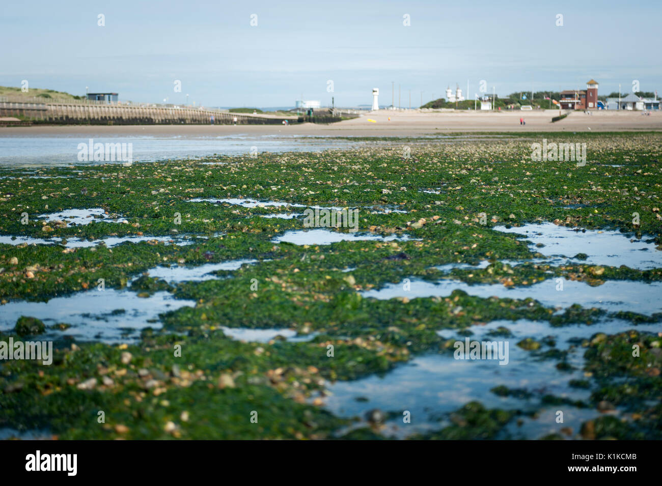 Rock pools and seaweed exposed during low tide on the beach at ...