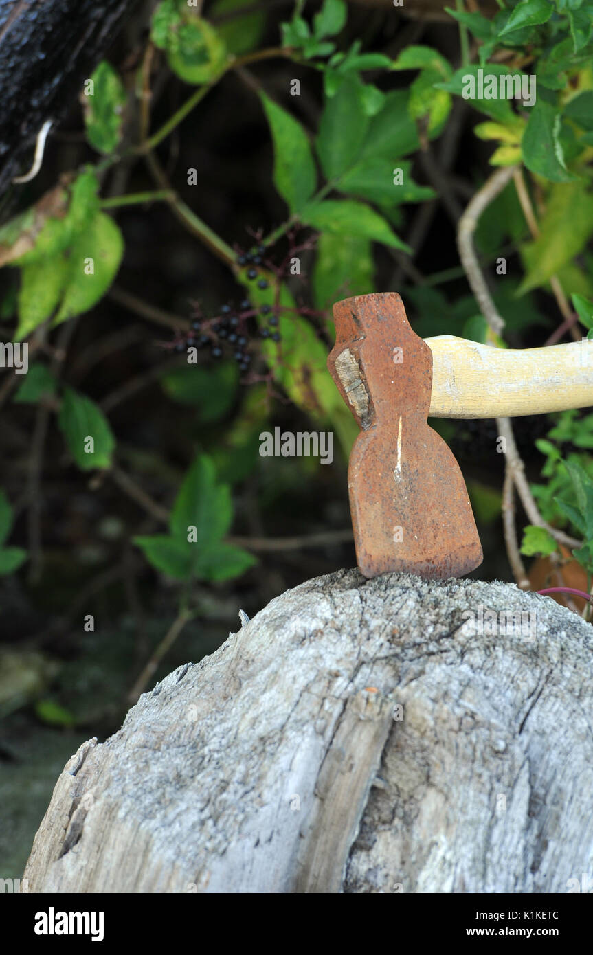 garden tools and axes choppers spades and forks to dig the garden and ...