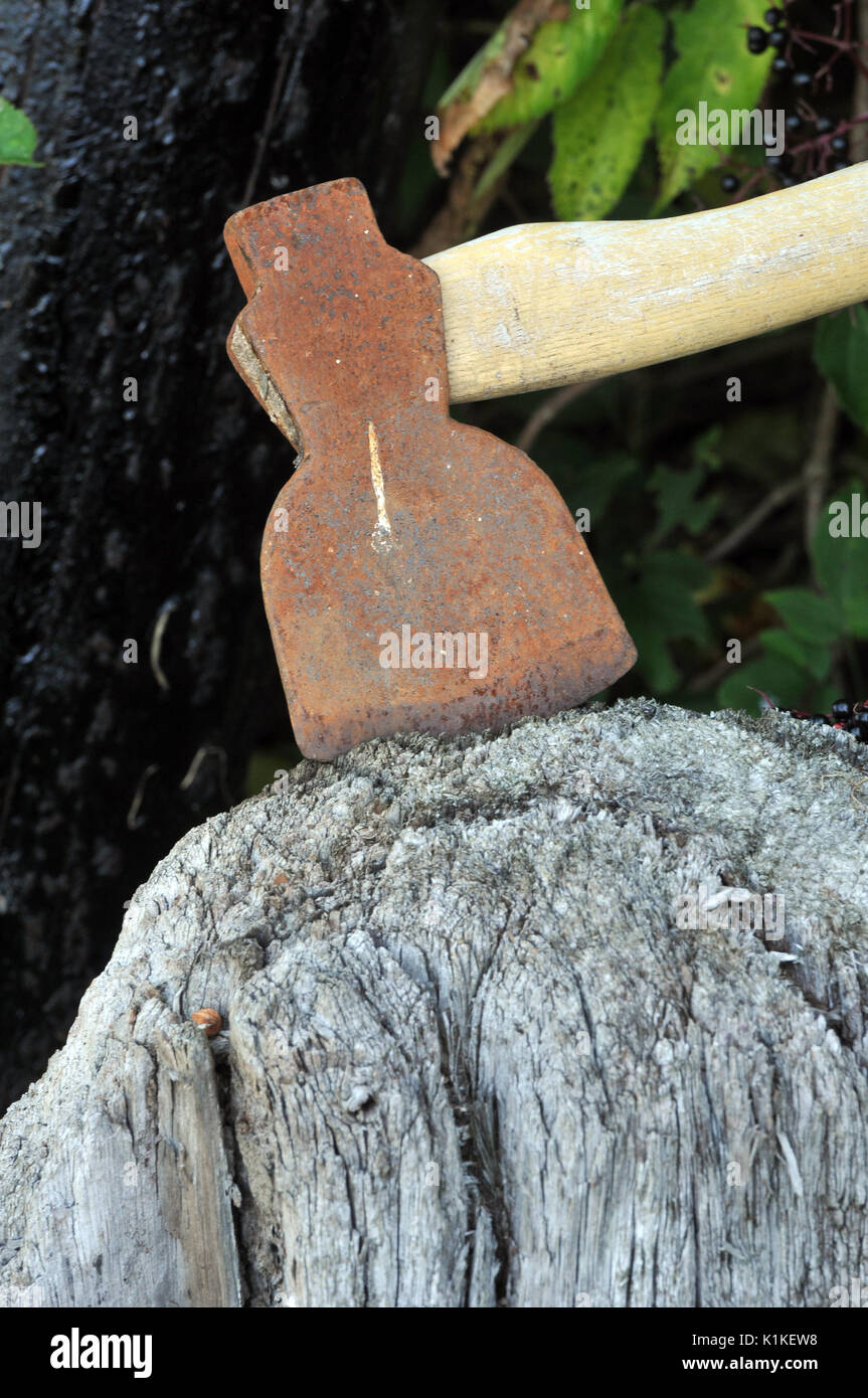 garden tools and axes choppers spades and forks to dig the garden and ...