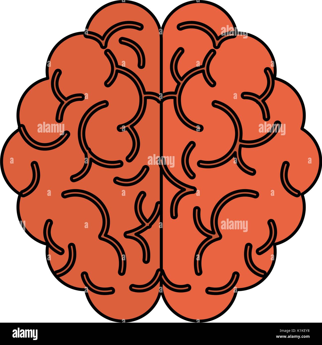 human brain topview icon image vector illustration design Stock Vector ...
