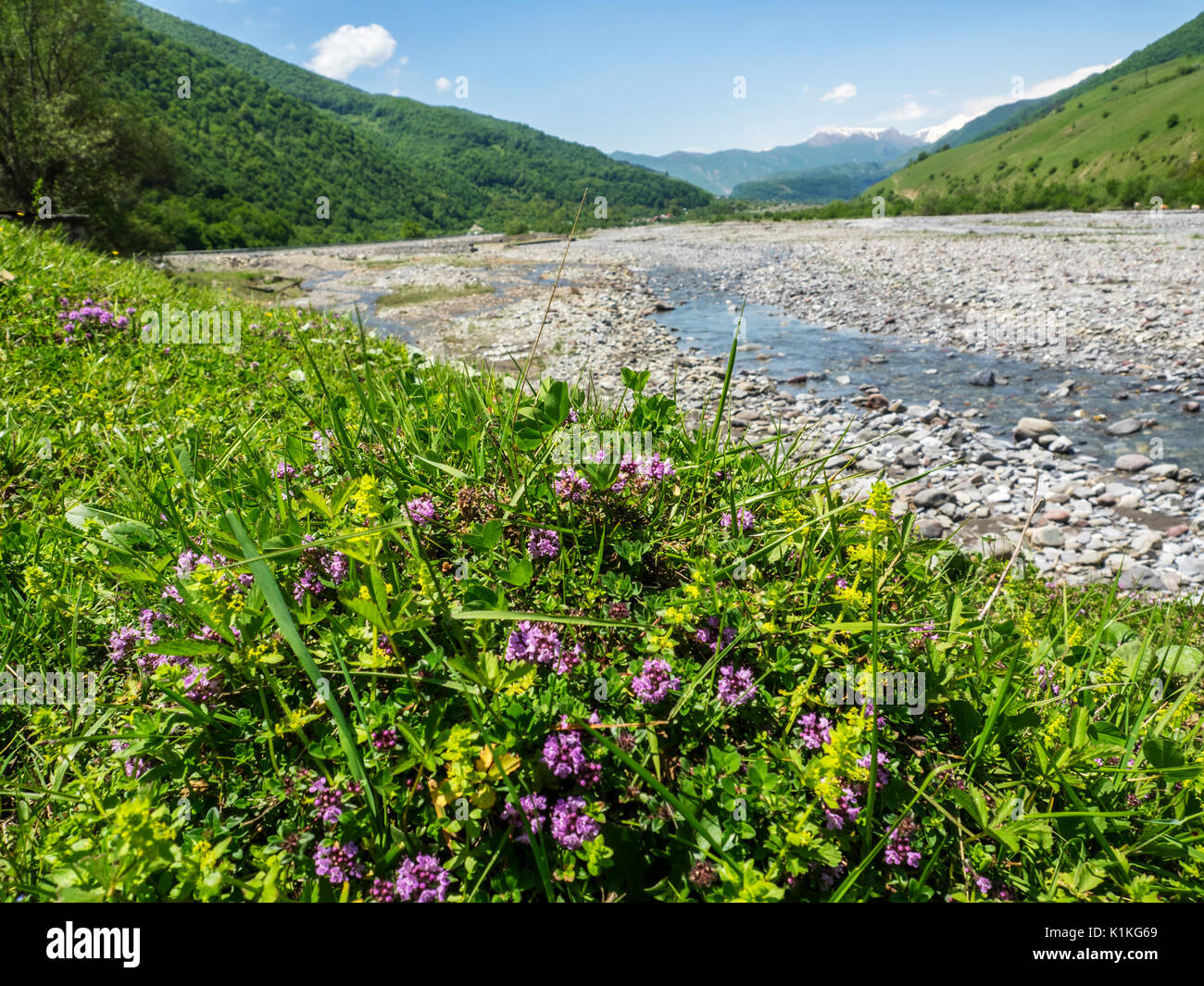 Valley of the Aragvi River. The slopes of the valley overgrown with ...