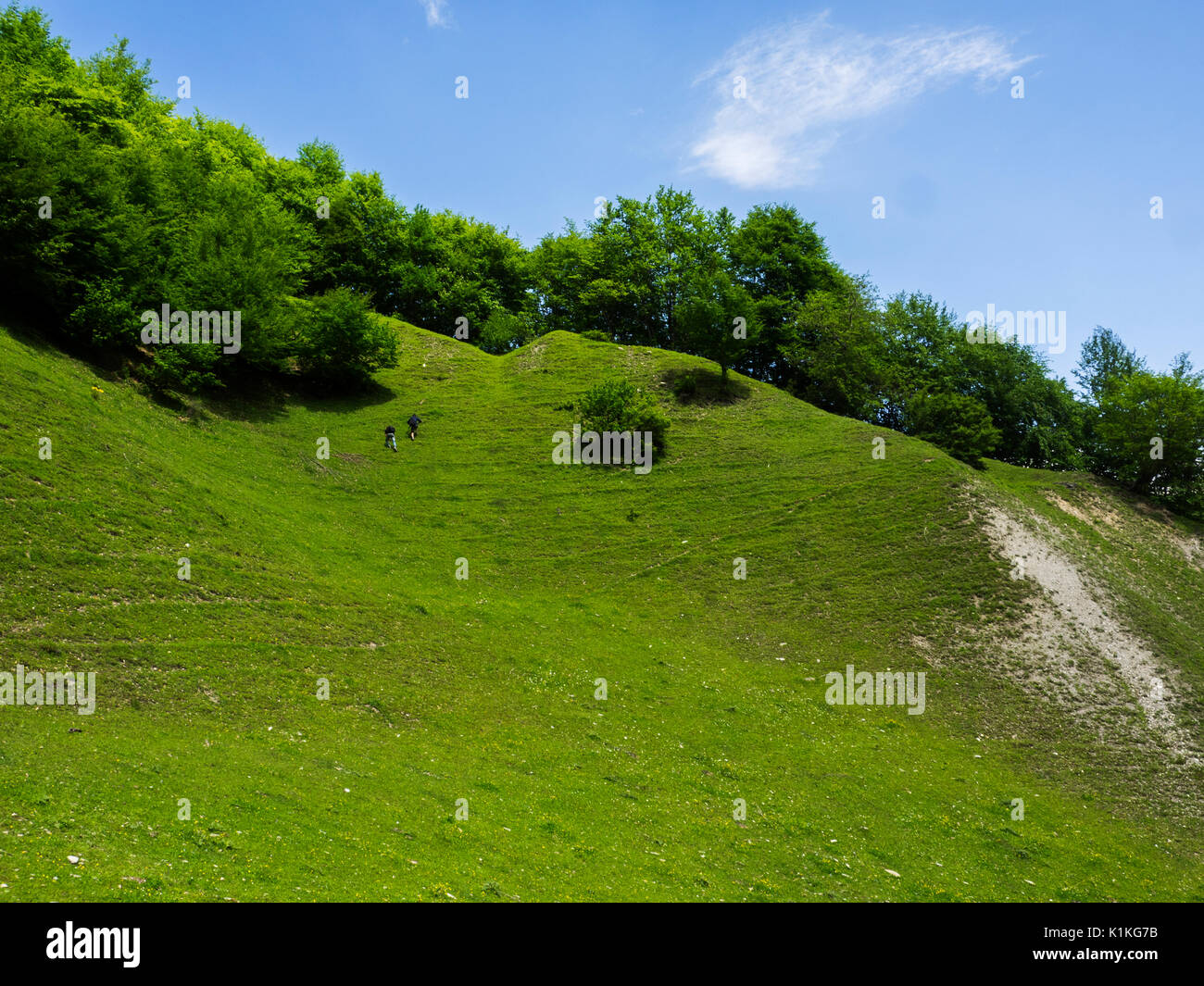 Two young men climb up the steep slope of a mountain covered with green ...