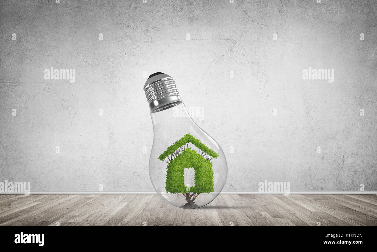 Glass lightbulb with green natural home inside in empty room with grey ...
