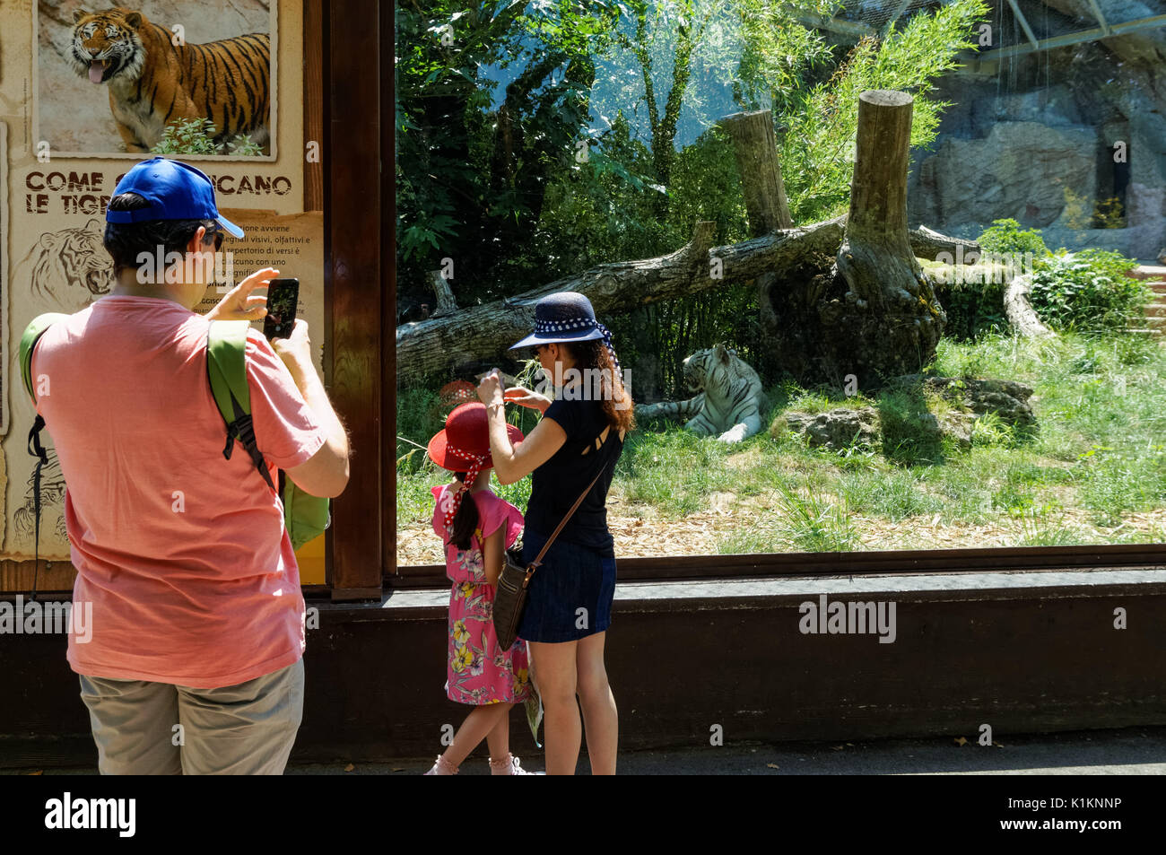 Visitors at the Rome Zoo, Italy Stock Photo - Alamy