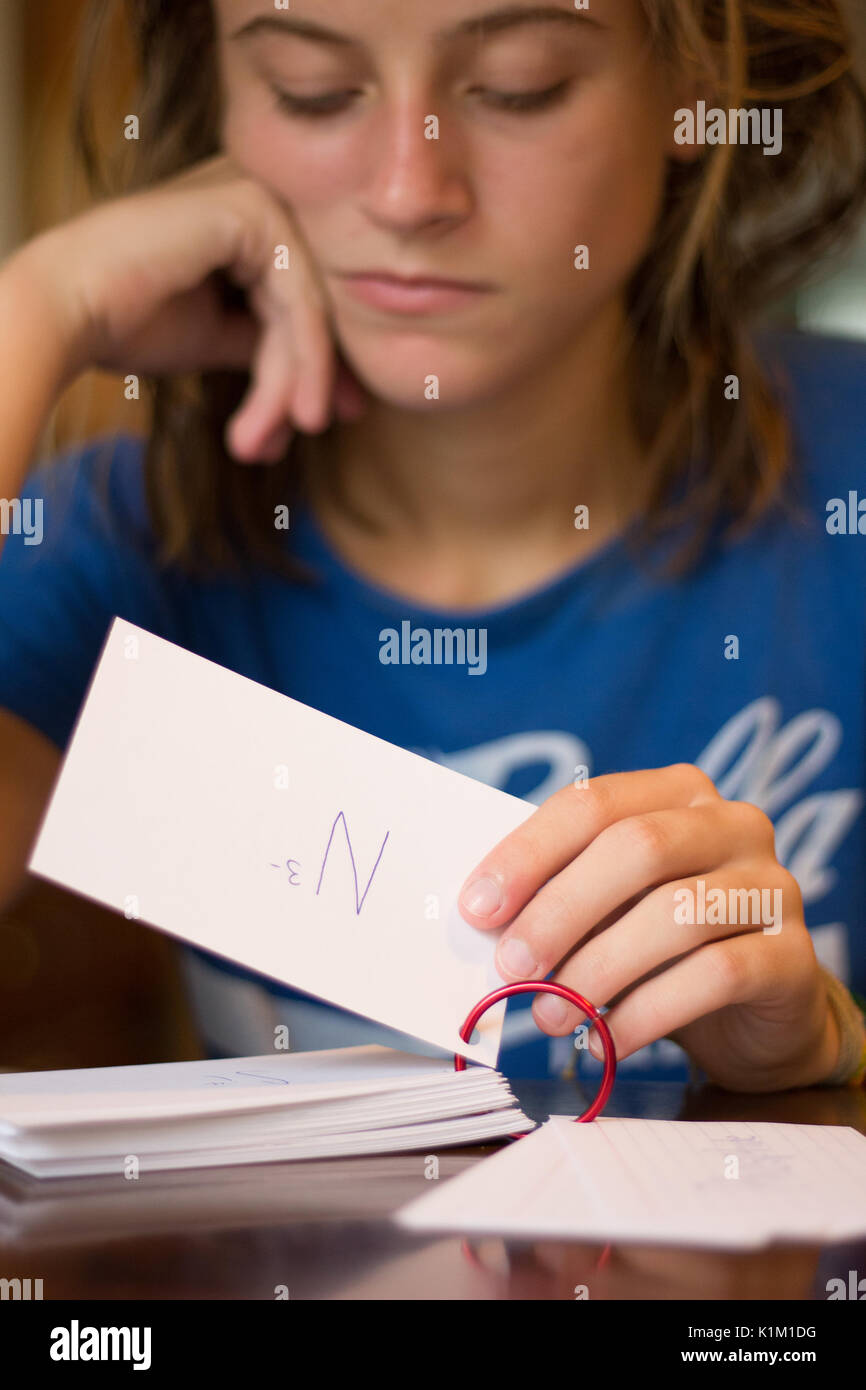 Young Teenage Female Studying Flip Cards Stock Photo - Alamy Young Teenage Female Studying Flip Cards Stock Photo - Alamy