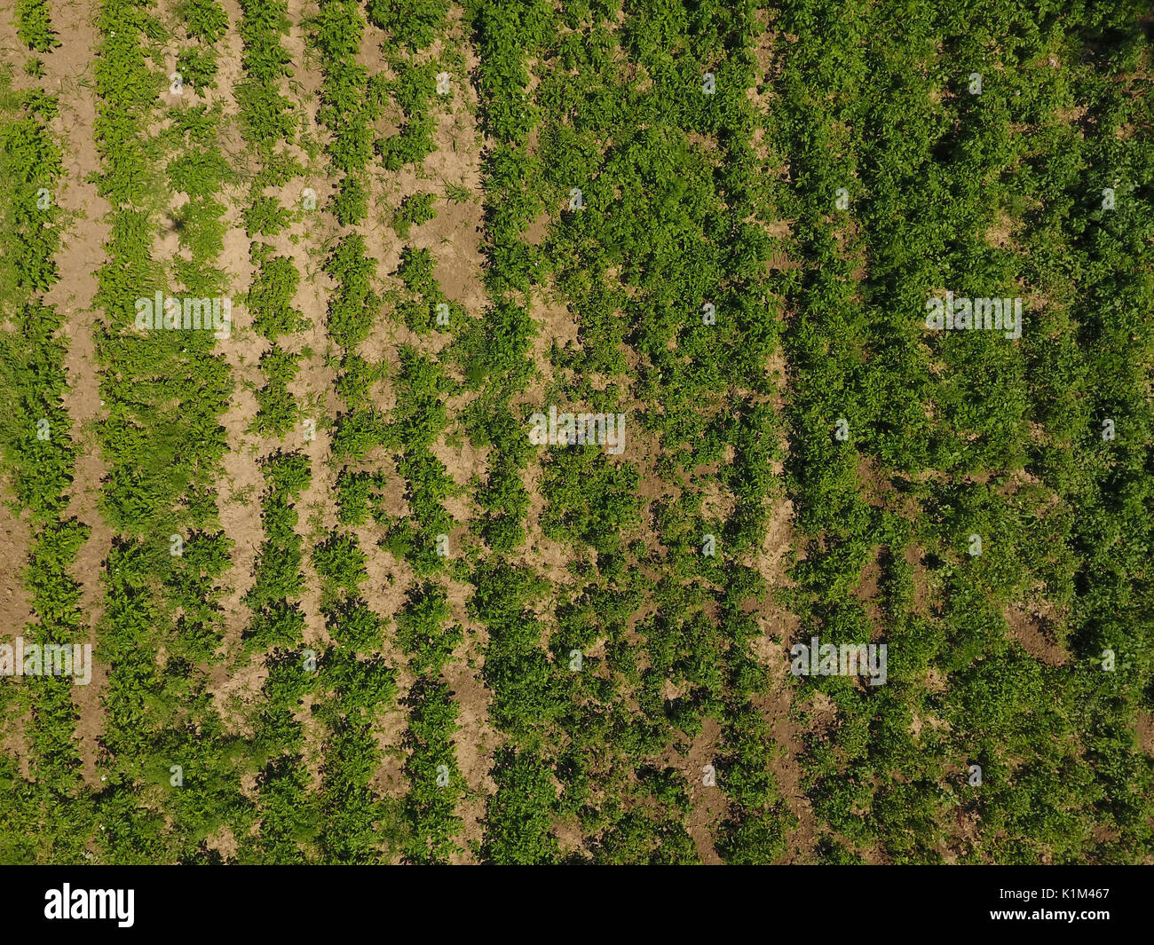 Aerial_landscape hi-res stock photography and images - Alamy