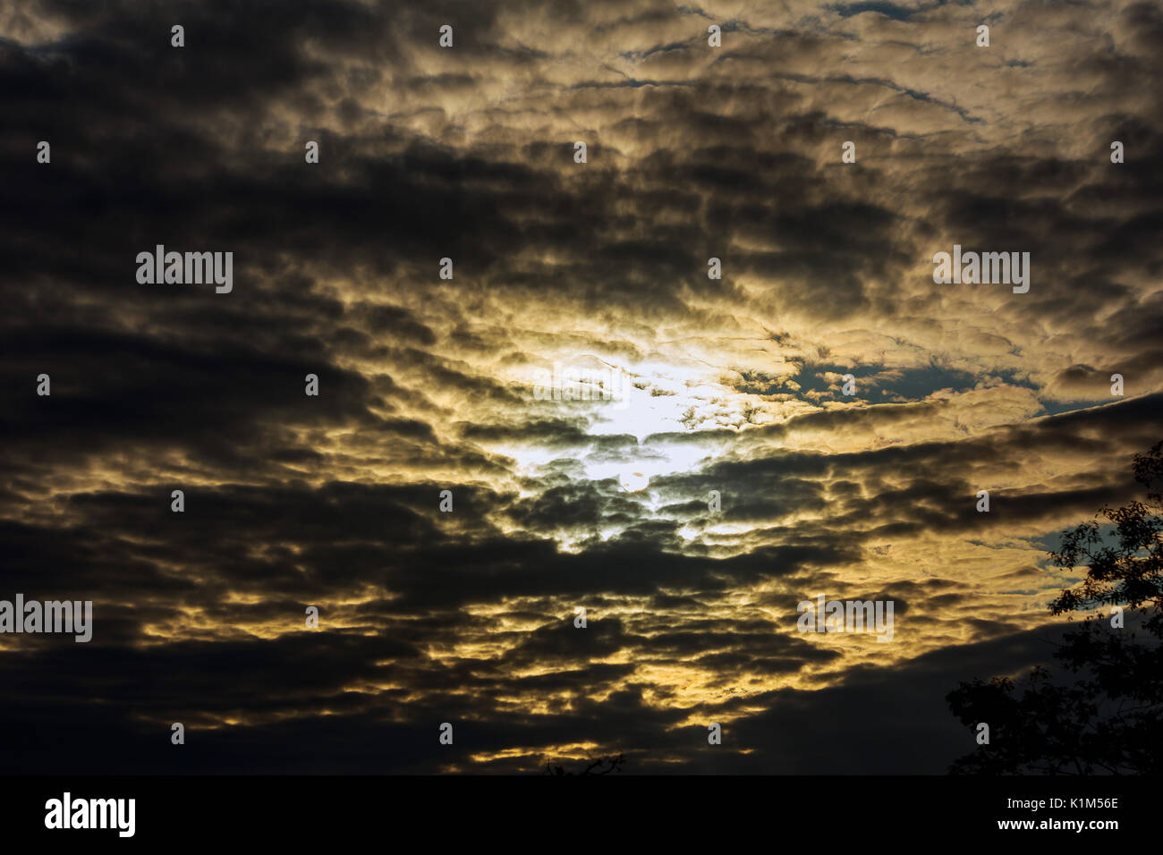 Dramatic sunset and sunrise sky. beautiful light in sundown sky Pink ...